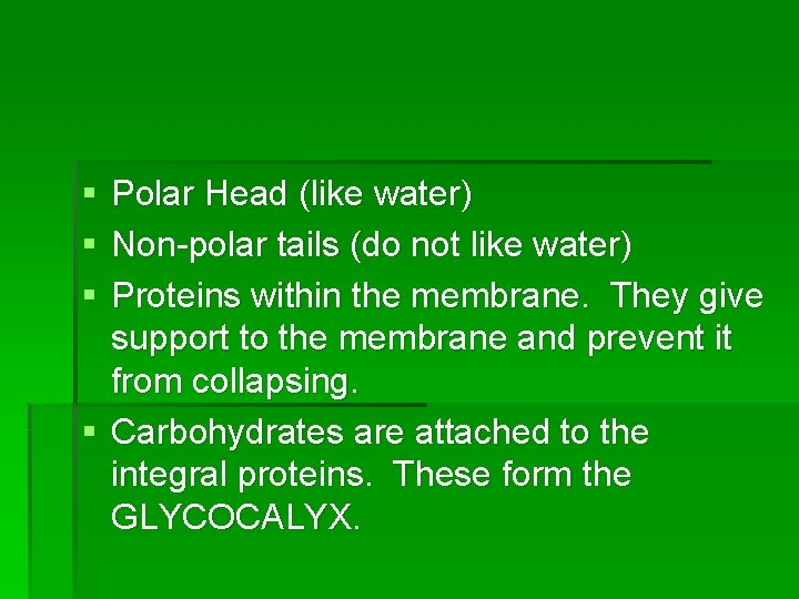 The Cell Theory Chapter 2 The Cell All