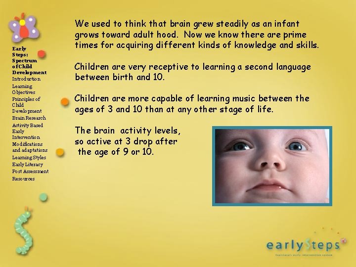 Brain Research Early Steps Spectrum of Child Development
