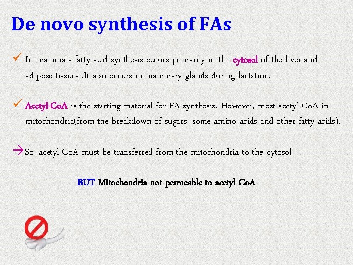 Fatty Acid Synthesis Dr Sooad AlDaihan Biochemistry department