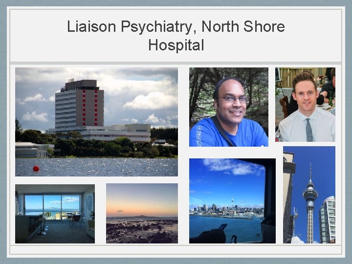 New Zealand Liaison Psychiatry North Shore Hospital Auckland