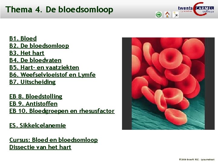 Thema 4 De bloedsomloop B 1 B 2