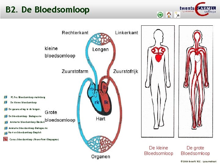 Thema 4 De bloedsomloop B 1 B 2