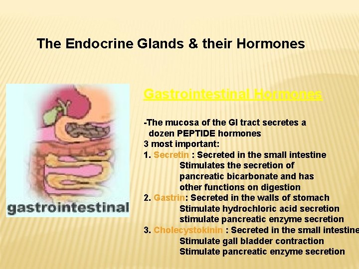PART I The Endocrine Glands their Hormones The