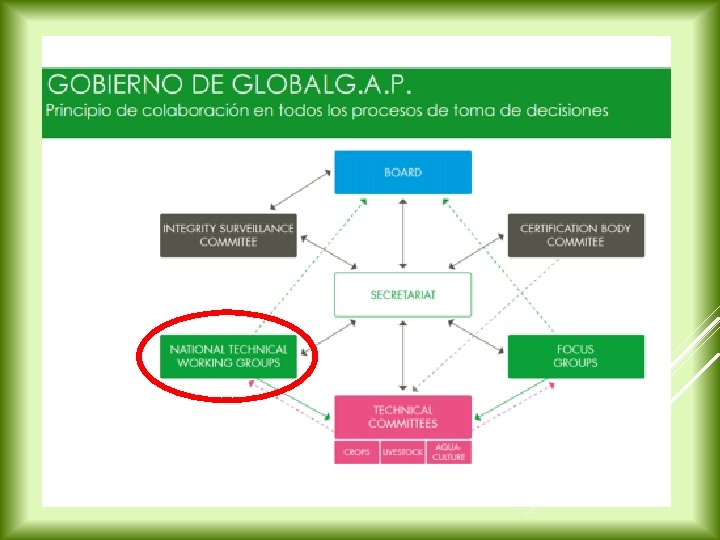GUA DE INTERPRETACIN GLOBALG A P V 5