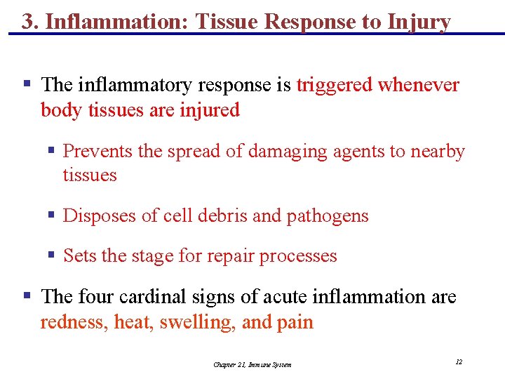 The Immune System Innate and Adaptive Body Defenses