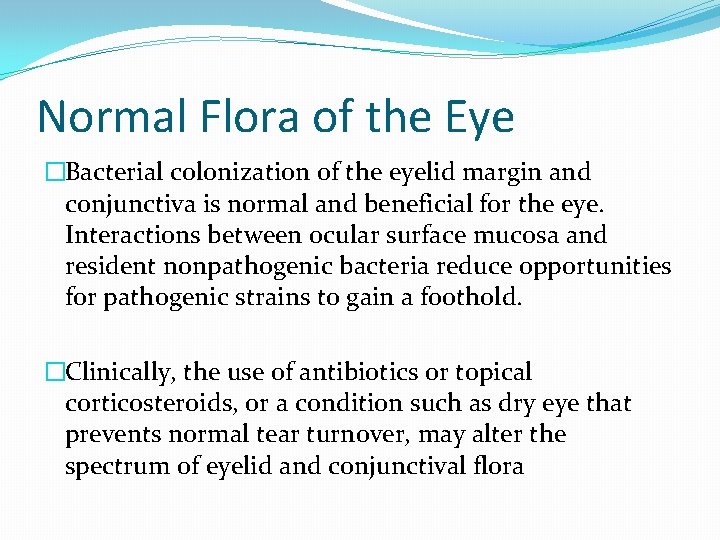 Anatomy of the Eye Mrs Amany Ahmed Niazy