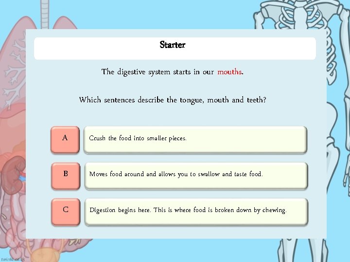 The Digestive System in Humans A task setting
