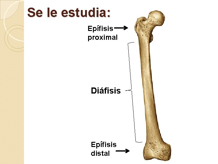 Universidad Autnoma De San Luis Potos Facultad De