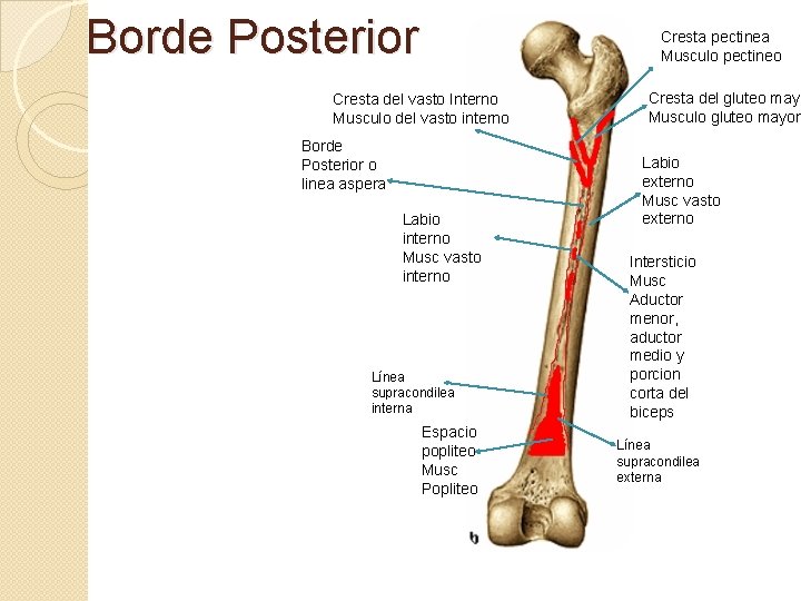 Universidad Autnoma De San Luis Potos Facultad De