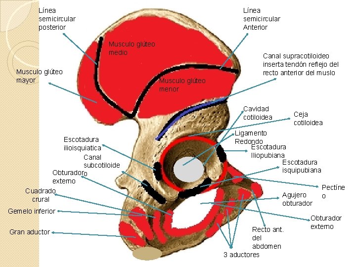Universidad Autnoma De San Luis Potos Facultad De