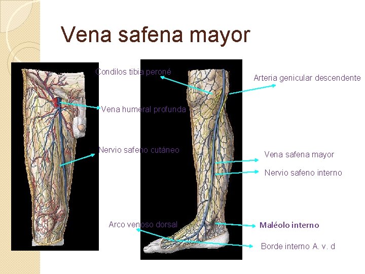 Universidad Autnoma De San Luis Potos Facultad De