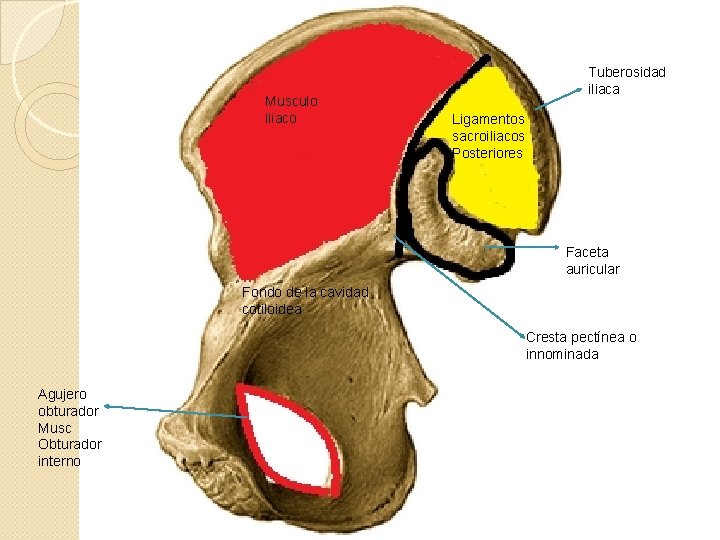 Universidad Autnoma De San Luis Potos Facultad De