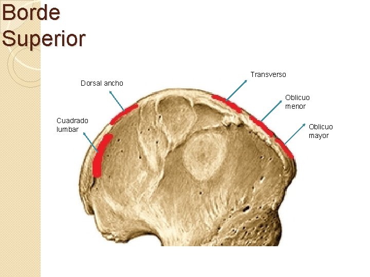 Universidad Autnoma De San Luis Potos Facultad De