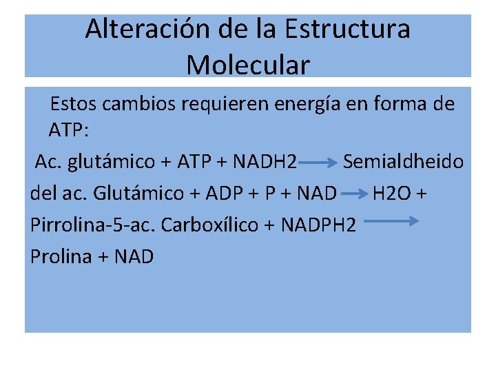 BIOSINTESIS Las bacterias sintetizan las sustancias qumicas a