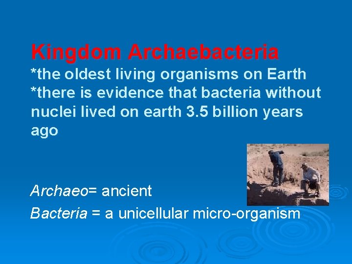 Kingdom Archaebacteria the oldest living organisms on Earth