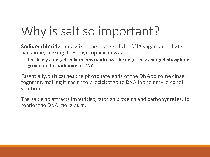 DNA Extraction Lab Activity ONLINE VERSION BY LIZ