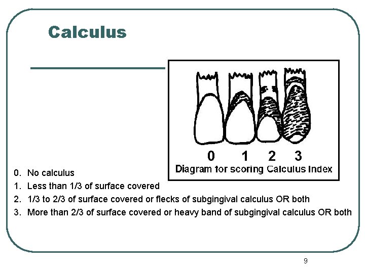 Oral Health Training Calibration Programme Debris Calculus Indices