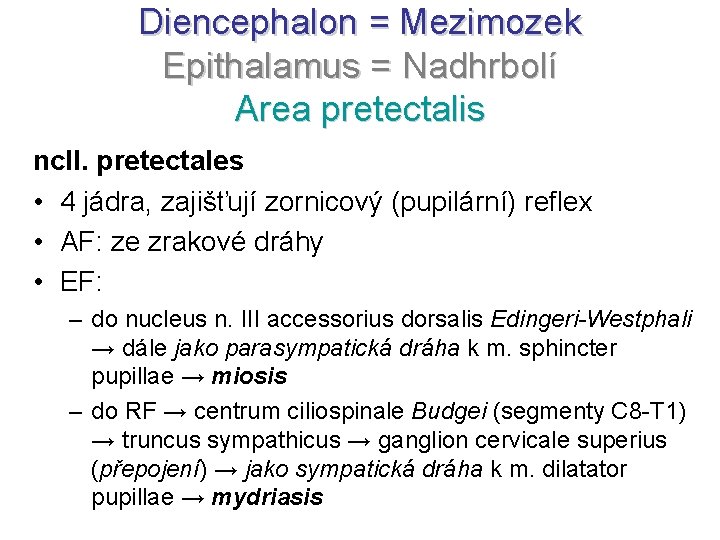 Mcha opakovn Vzestupn drhy tractus spinobulbothalamocorticalis drha zadnch