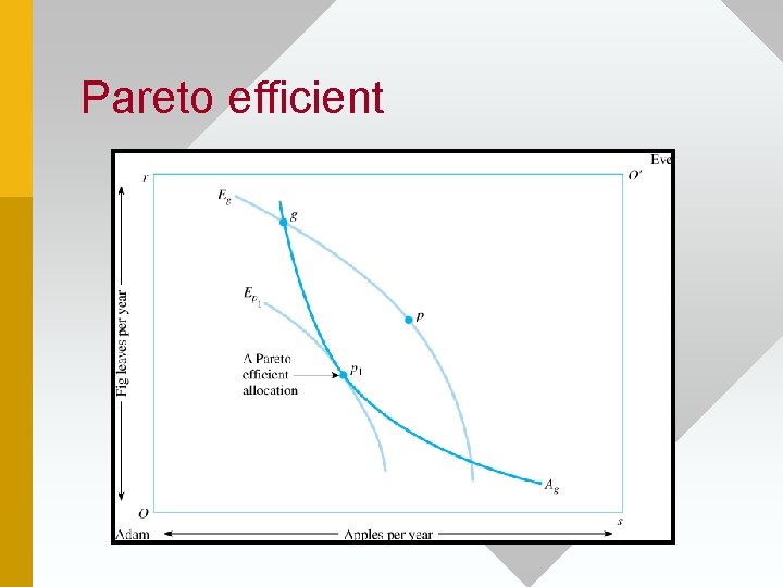 Unit 16 General equilibrium analysis and Economic efficiency