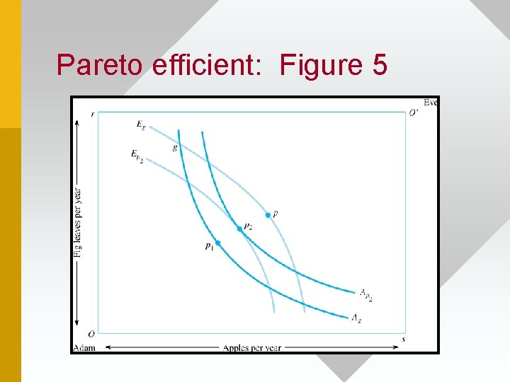 Unit 16 General equilibrium analysis and Economic efficiency
