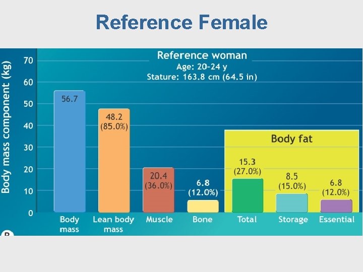 Body Composition Chapter 6 Fit Well Core Concepts