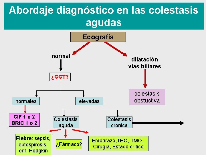 Colestasis congnitas por defectos en las protenas transportadoras
