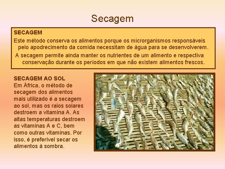 Alimentao Equilibrada Processos de Conservao dos Alimentos Trabalho