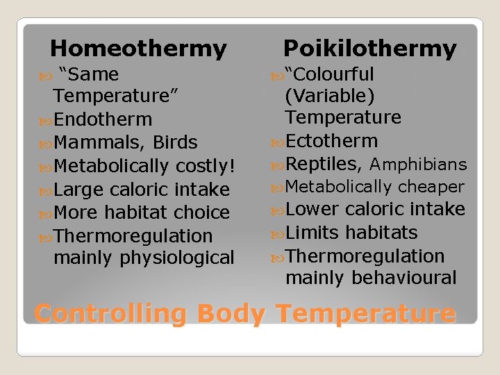 Thermoregulation SBI 4 U Biology Homeothermy Same Temperature