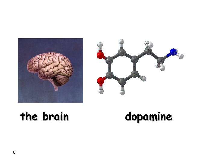 Organic and Biological Molecules 1 Organic Chemistry and