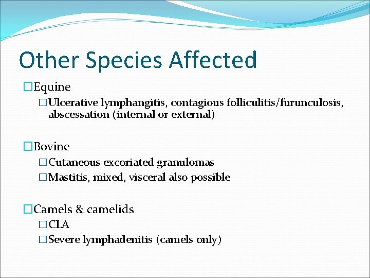 Caseous Lymphadenitis Myths Realities in Treatment and Prevention