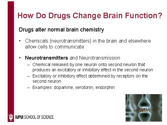 Drugs Brain and Behavior The Neuroscience of Addiction