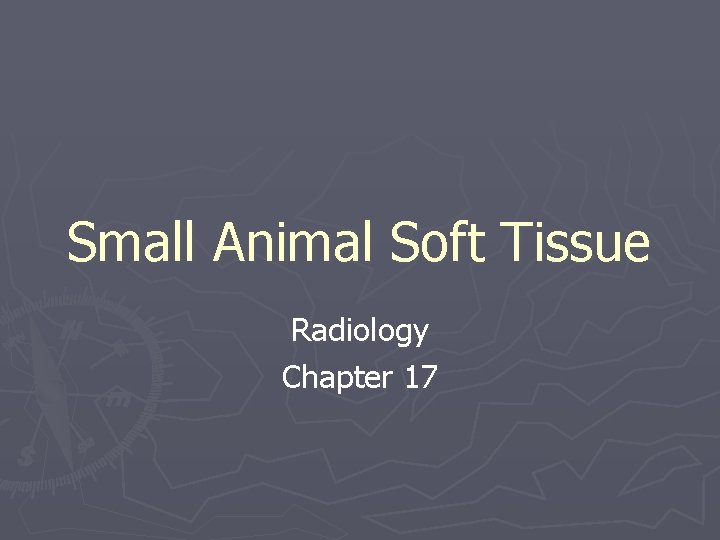 Small Animal Soft Tissue Radiology Chapter 17 Introduction