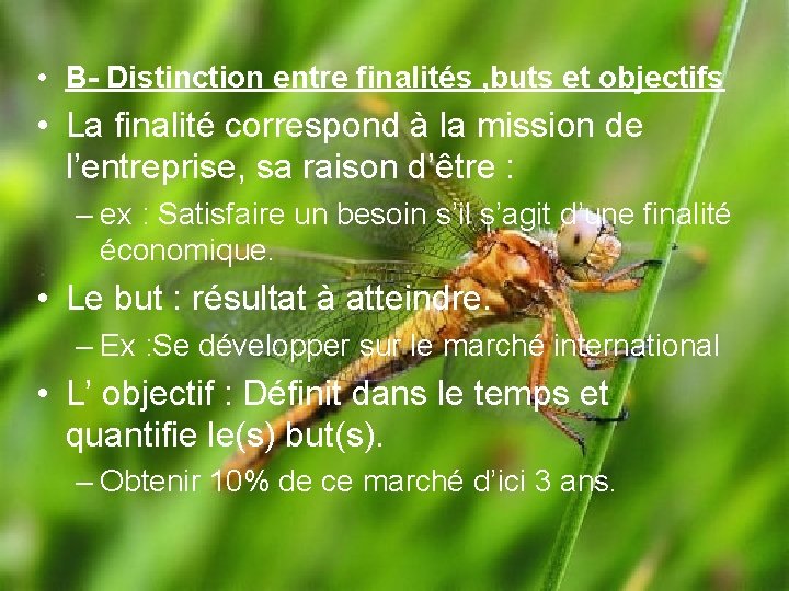 LES FINALITES DE LENTREPRISE Problmatique Les nouvelles finalits