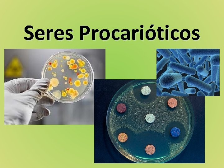 Seres Procariticos Seres procariticos Bactrias e Arqueas BACTERIA