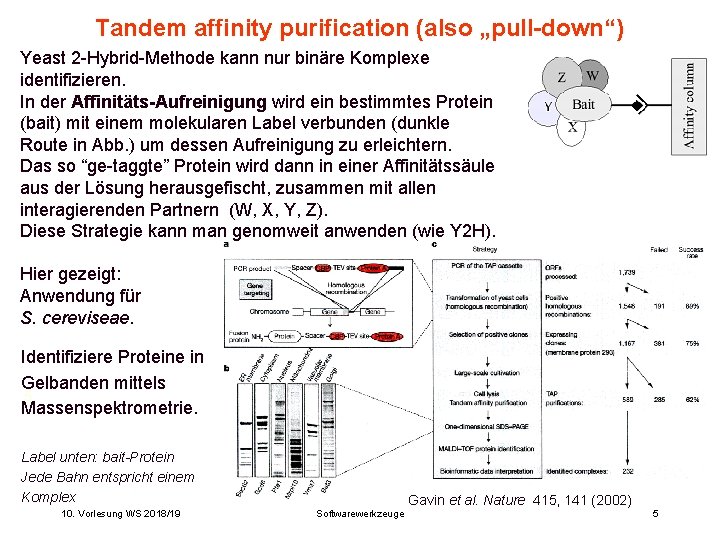 V 10 ProteinInteraktionsnetzwerke Rckblick V 7 Arten von