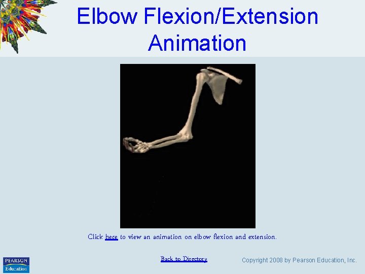 Chapter Activity and Exercise Kozier Erbs Fundamentals of