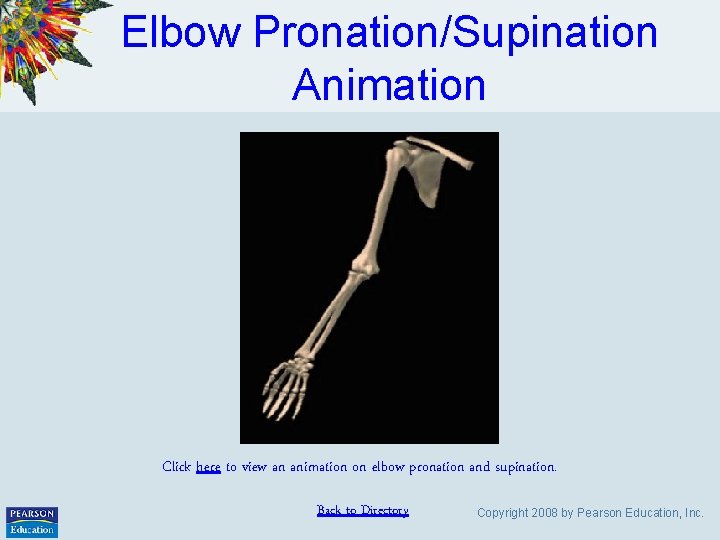 Chapter Activity and Exercise Kozier Erbs Fundamentals of