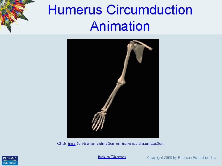 Chapter Activity and Exercise Kozier Erbs Fundamentals of