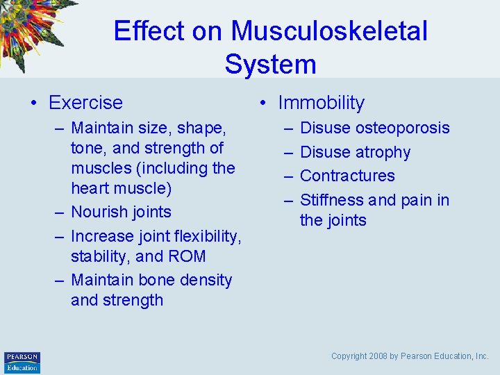 Chapter Activity and Exercise Kozier Erbs Fundamentals of