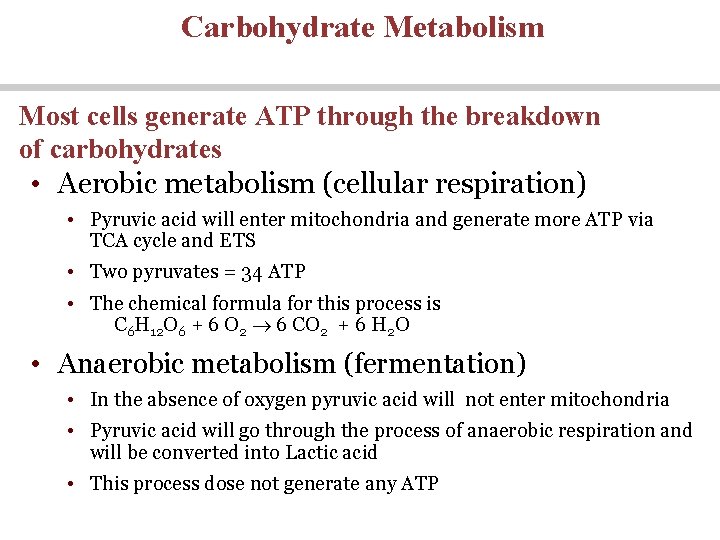 Anatomy Physiology SIXTH EDITION Lecture 25 Metabolism and