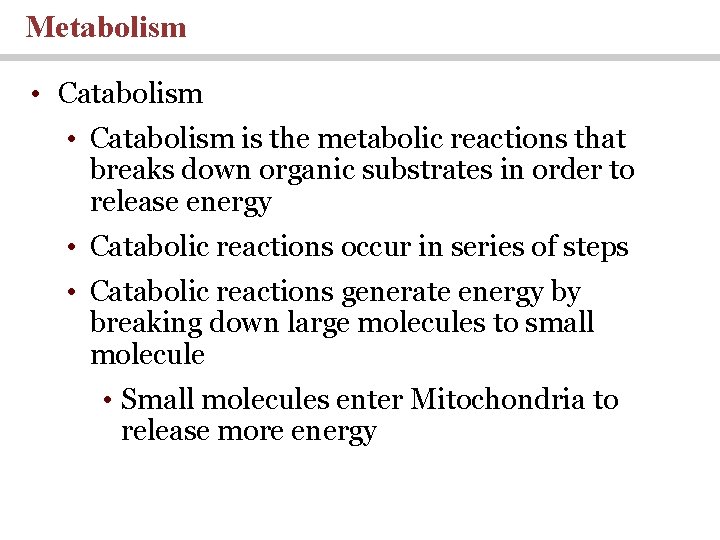 Anatomy Physiology SIXTH EDITION Lecture 25 Metabolism and