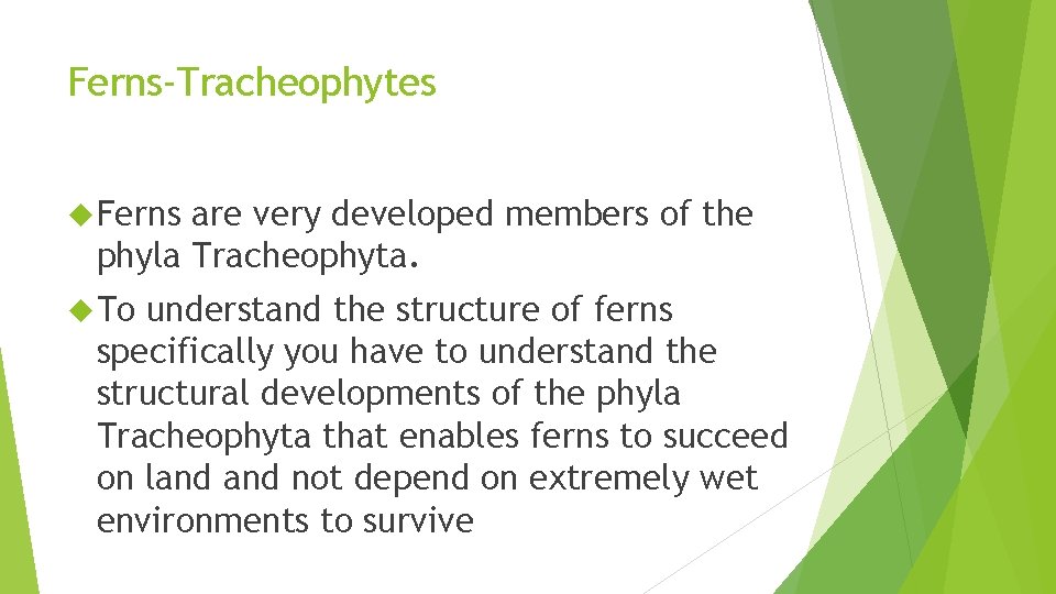 Fern Structure and Functions Ferns are plants that