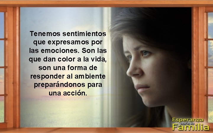 Tenemos sentimientos que expresamos por las emociones Son