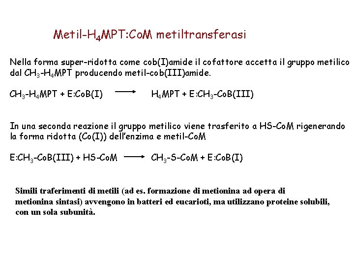 Metanogenesi E la reazione di formazione del metano