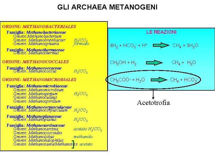 Metanogenesi E la reazione di formazione del metano