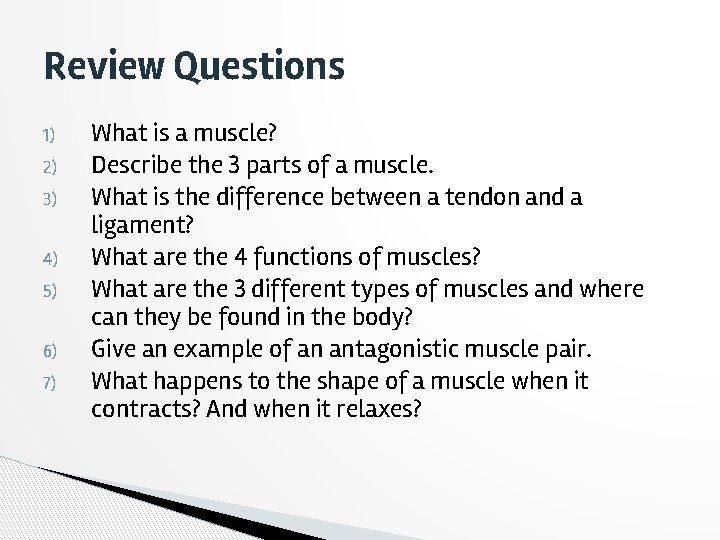 Muscles Interesting Muscle Facts 1 2 3 4