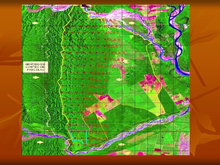Plan de Manejo Forestal Es un instrumento de