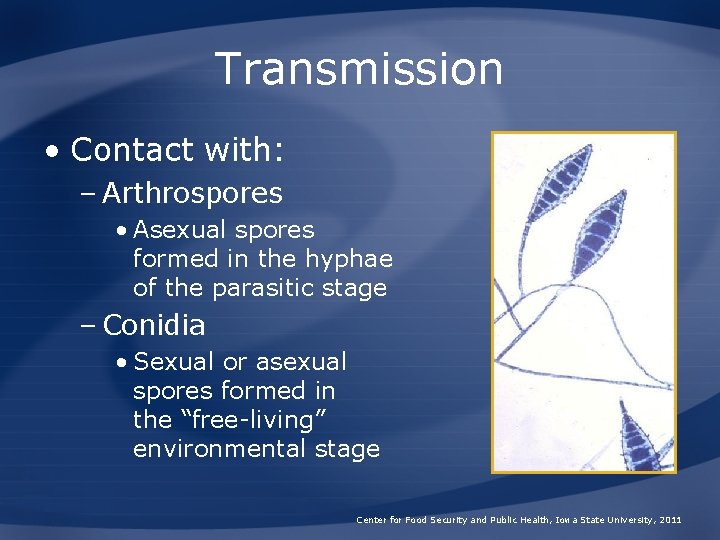 Dermatophytosis Ringworm Tinea Dermatomycosis Overview Organisms ...