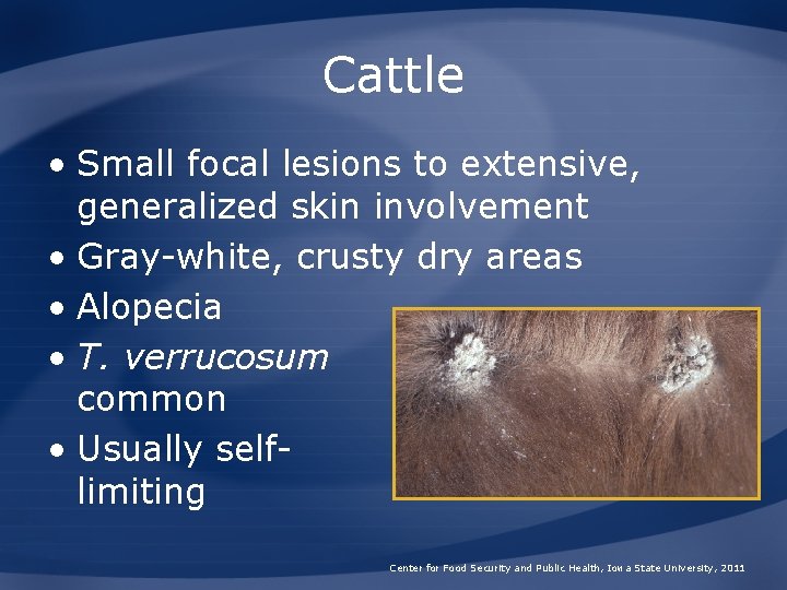 Dermatophytosis Ringworm Tinea Dermatomycosis Overview Organisms ...