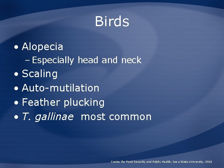 Dermatophytosis Ringworm Tinea Dermatomycosis Overview Organisms ...